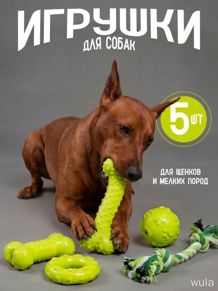 Набор игрушек wula, ярко-зеленый, 5 шт, для щенков и собак мелких и средних пород, для дома, для собак