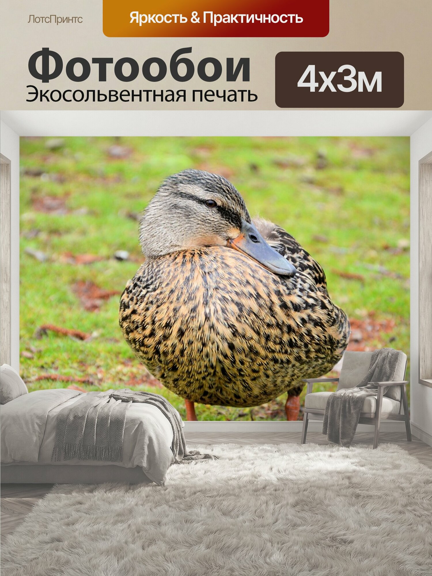 Фотообои "Ферма, утка, домашняя птица" 400x300 см. экосольвентная печать