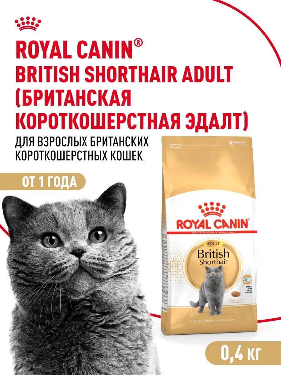 Сухой корм ROYAL CANIN BRITISH SHORTHAIR ADULT для кошек британской короткошерстной породы, 400 г