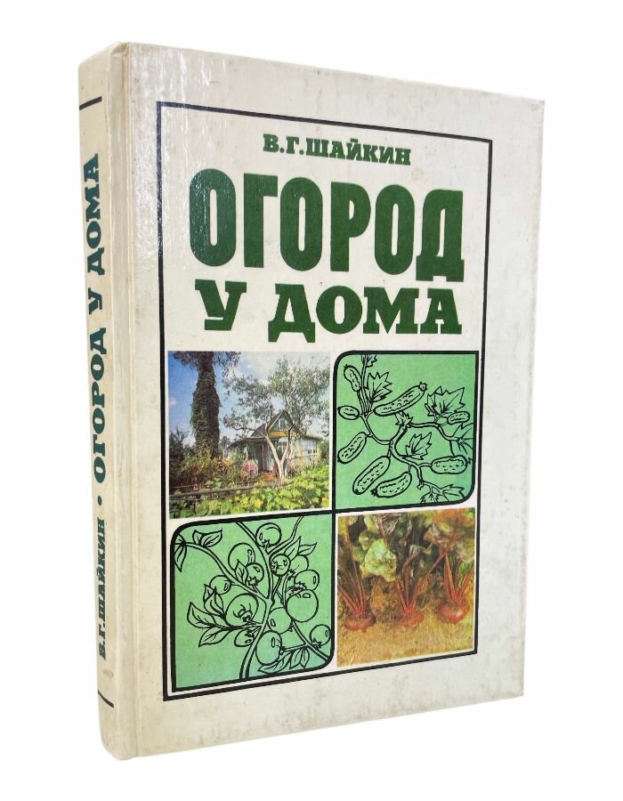 Огород у дома. Шайкин В. Г.
