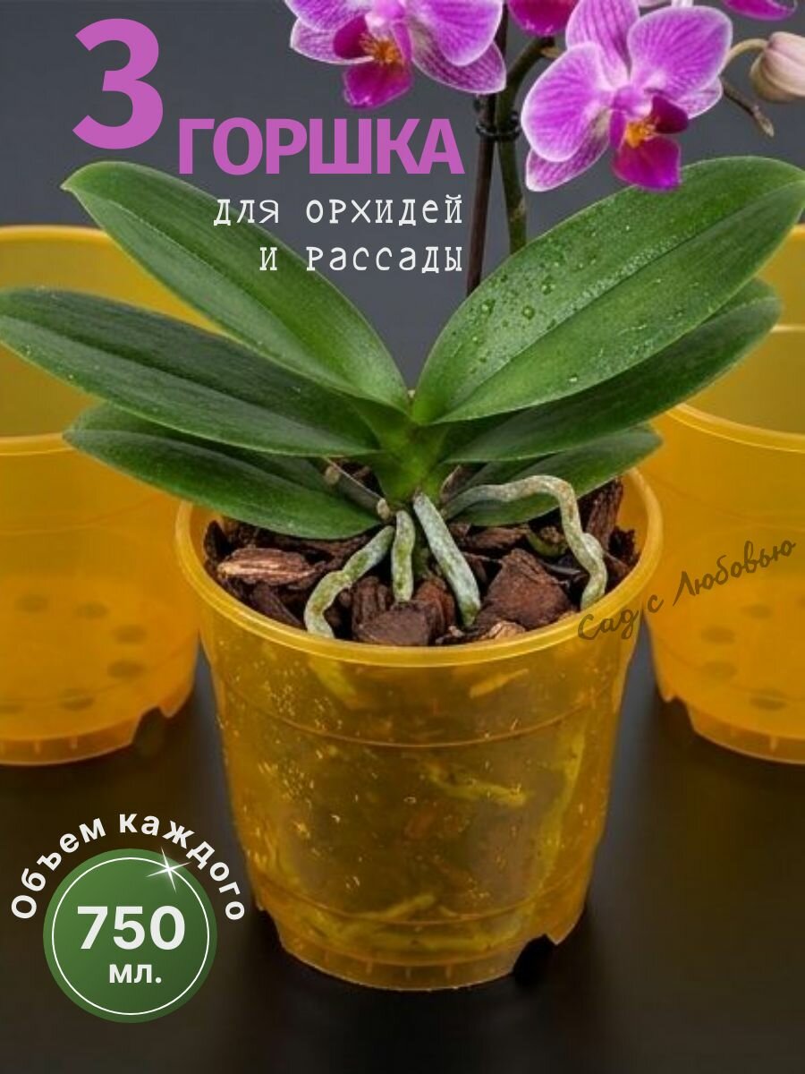 Горшки прозрачные для орхидей и рассады 0,75 л набор 3 шт