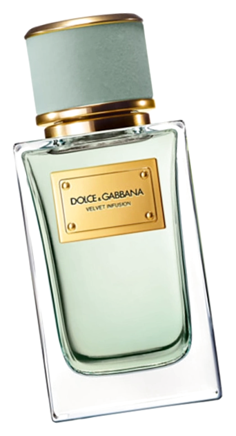 Парфюмерная вода Velvet Infusion от Dolce & Gabbana 100 мл унисекс - Бархатный Настой