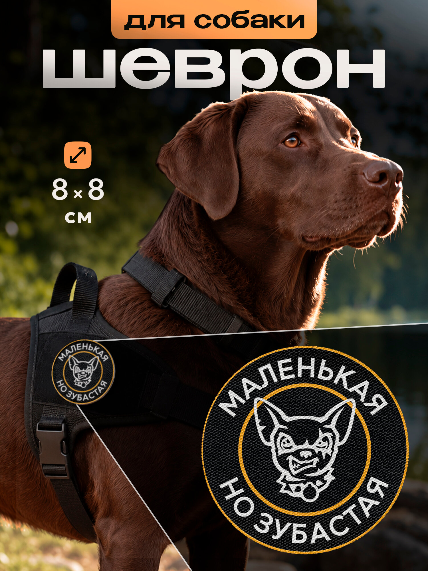 Шеврон IREVIVE кожаный, круглый 8 см, Маленькая, но зубастая , на липучке, для формы, военному