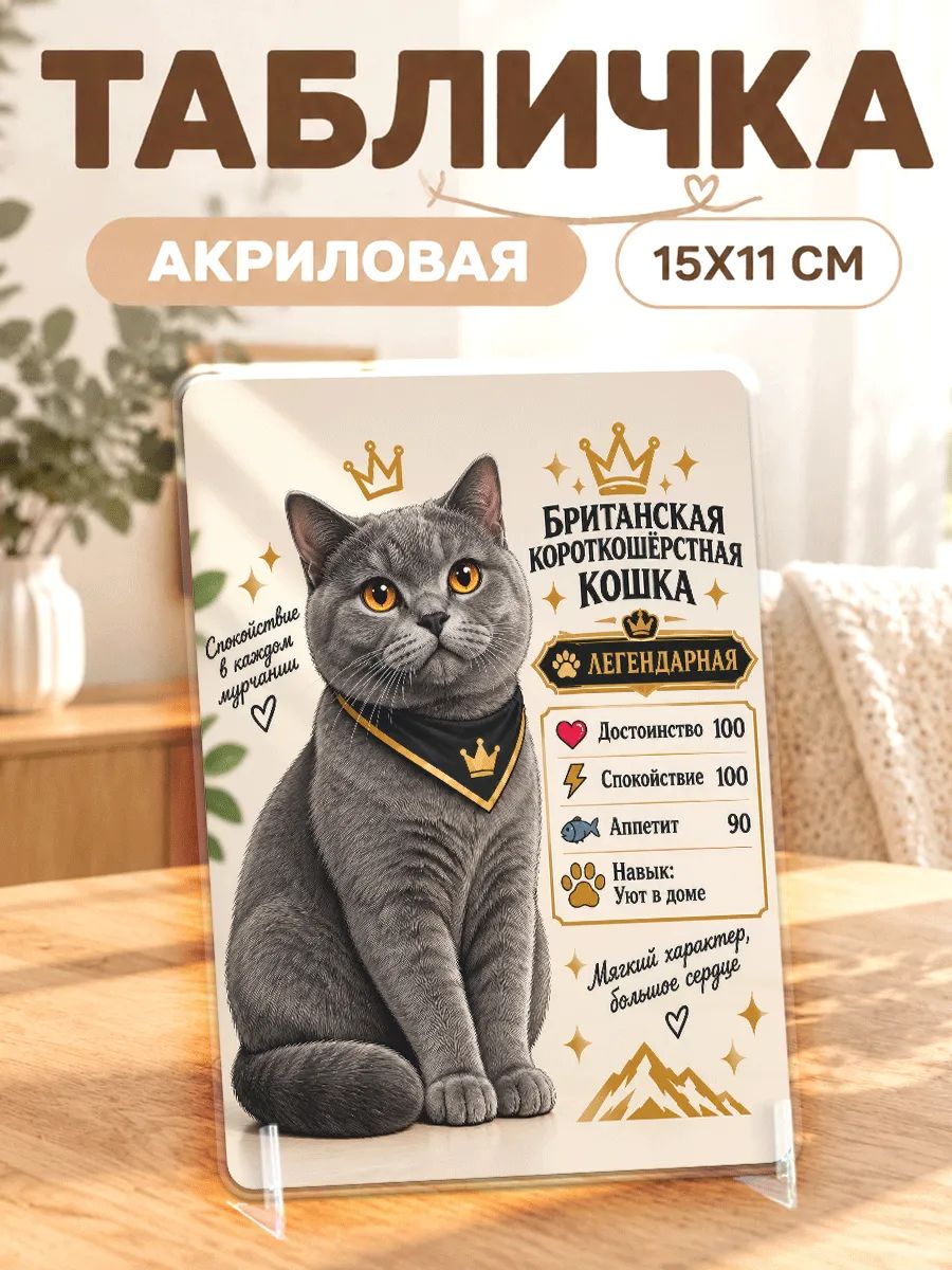 Сувенирная акриловая табличка владельцу питомца британская кошка