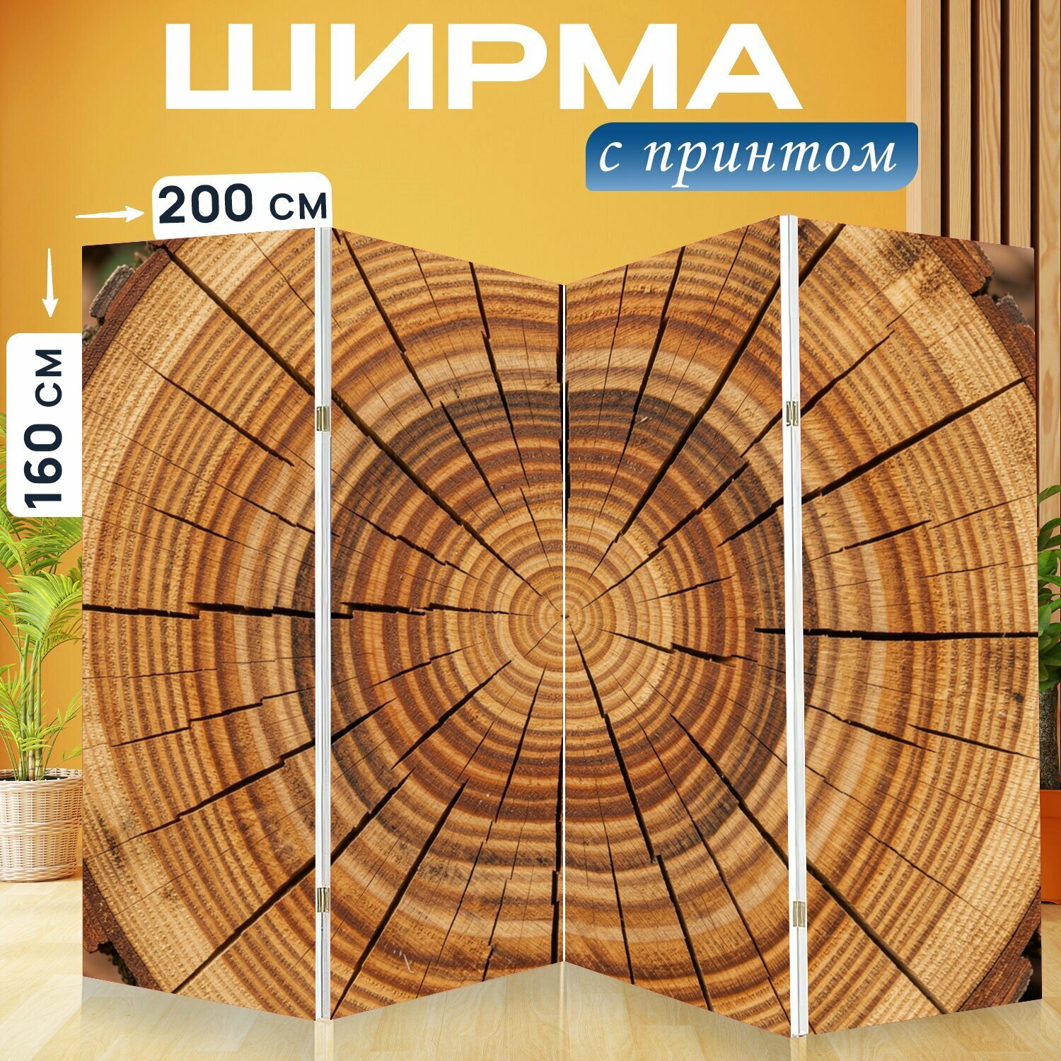 Ширма "Спил дерева с годовыми кольцами. Крупный план древесного среза с выраженной текстурой, концентрическими." перегородка для зонирования комнаты с принтом 200x160 см. на холсте