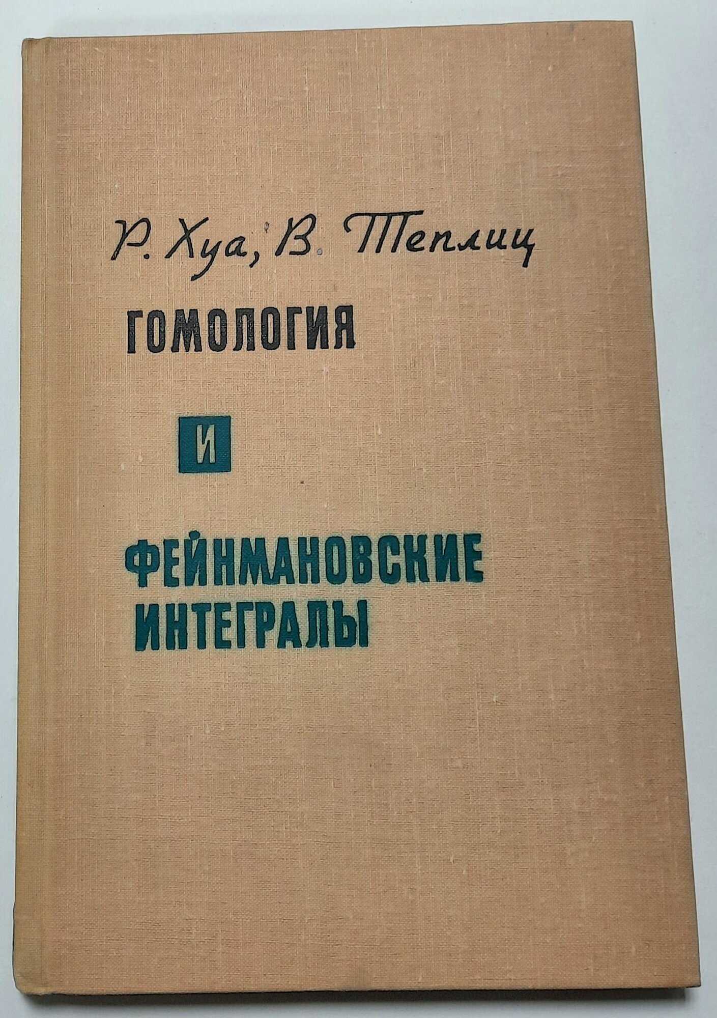 Гомология и фейнмановские интегралы
