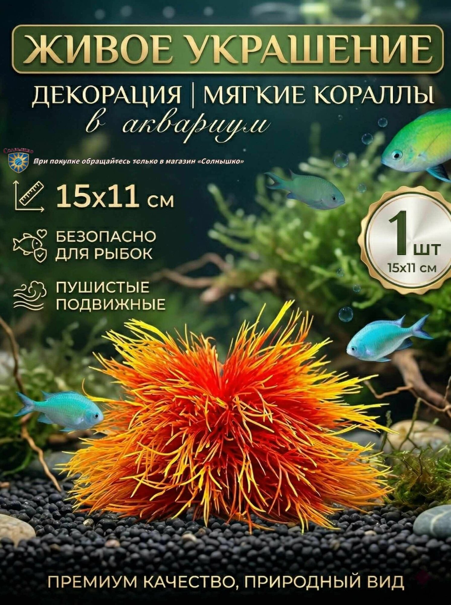 Оранжевый