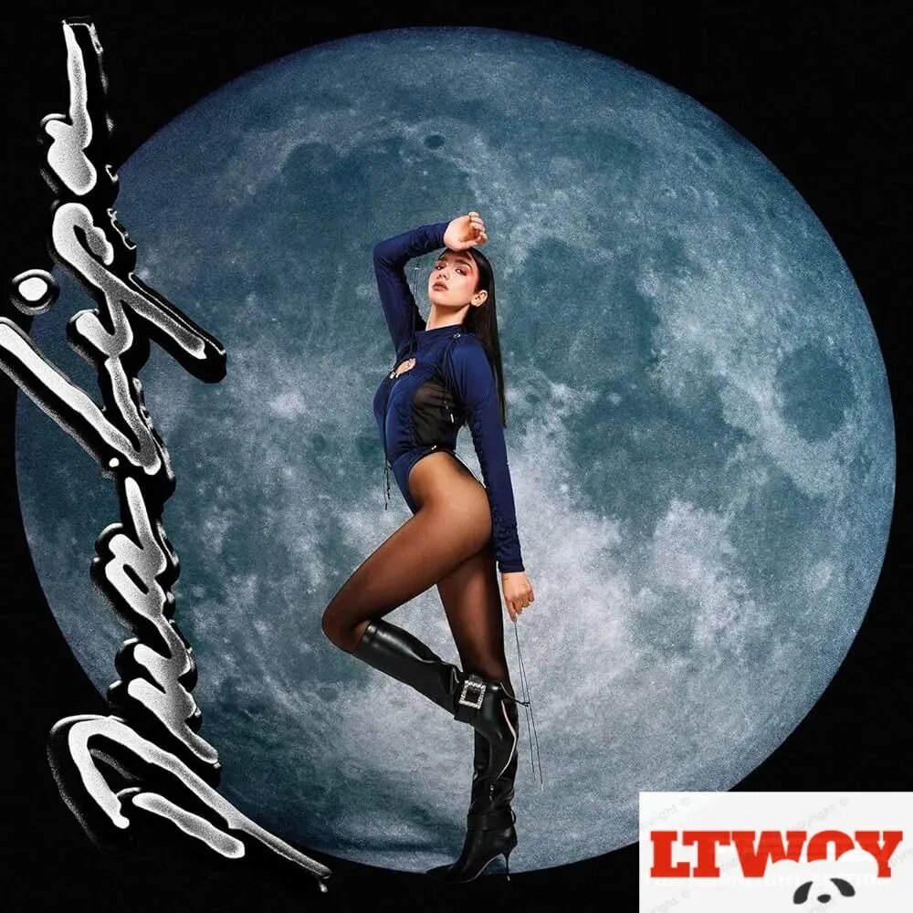 Виниловая пластинка Dua Lipa - Future Nostalgia (The Moonlight Edition) 2 x Vinyl, LP, Album Новый-LYY