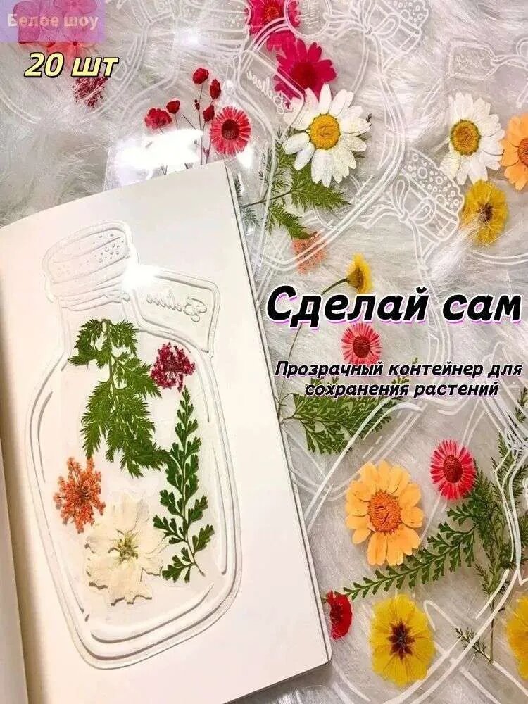Альбом Гербарий