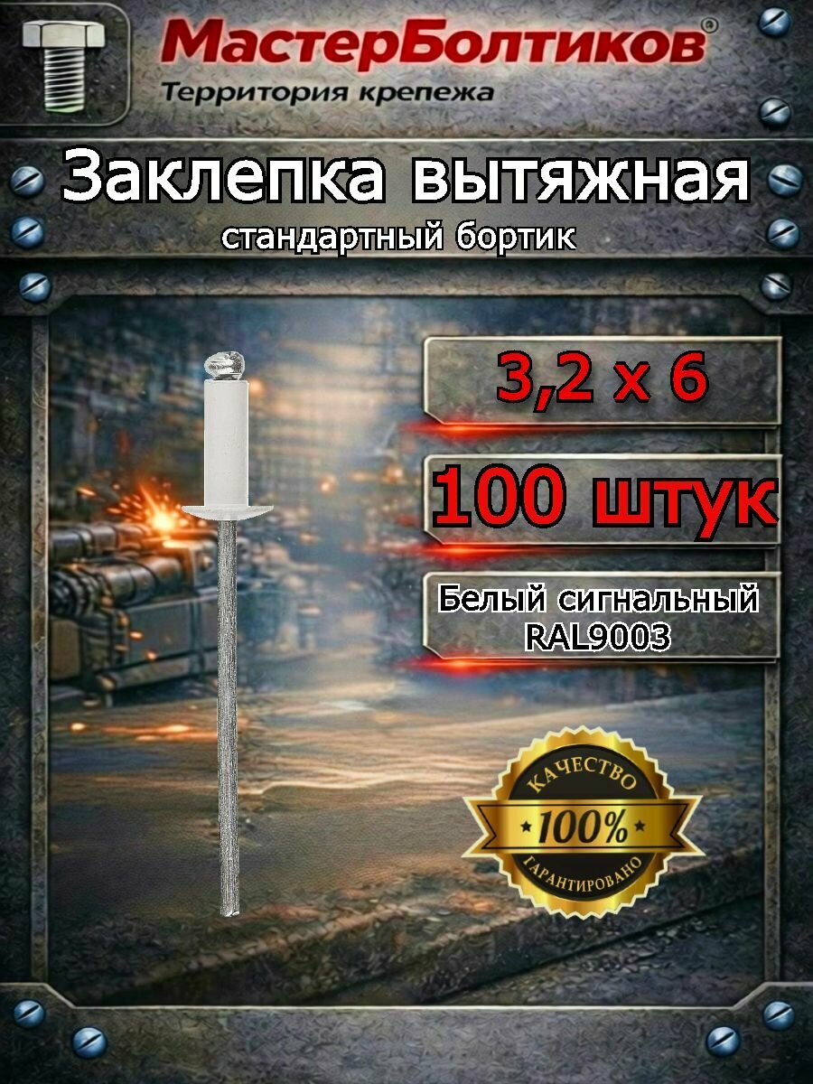 Заклепка вытяжная, крашенная Al/St RAL9003 цвет белый сигнальный 3.2х6 "МастерБолтиков" ( 100 штук )