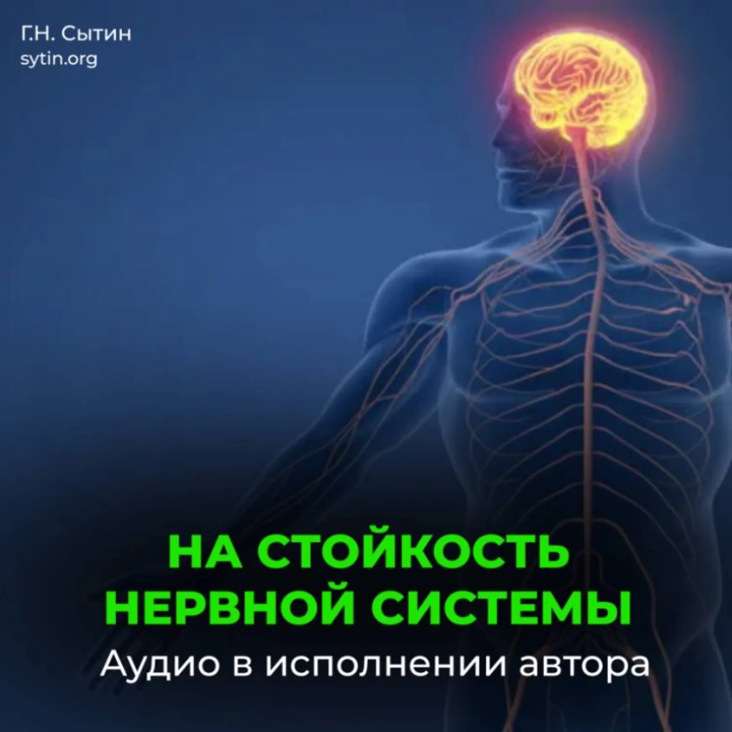 На стойкость и устойчивость нервной системы [Аудиокнига]