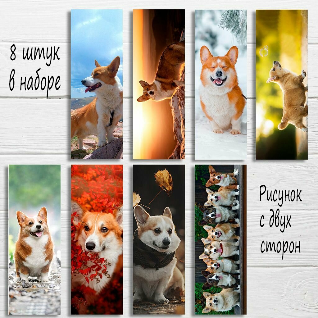 Закладка для книг Корги, набор из 8 штук