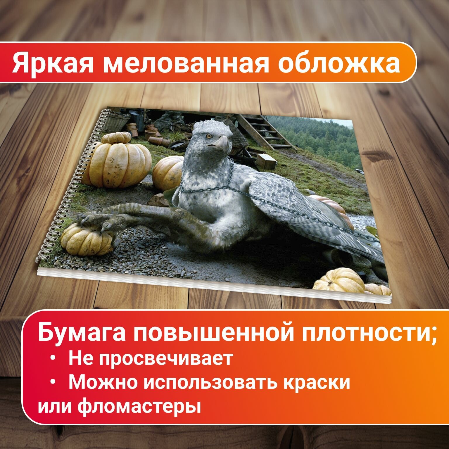 Альбом для рисования Гарри Поттер — фото 1