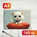 Альбом для рисования Котик