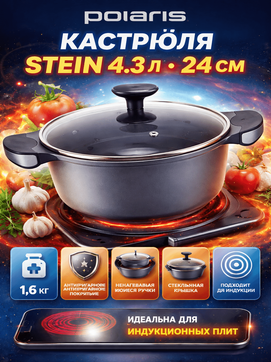 Кастрюля Polaris Stein 4.3л, 24см