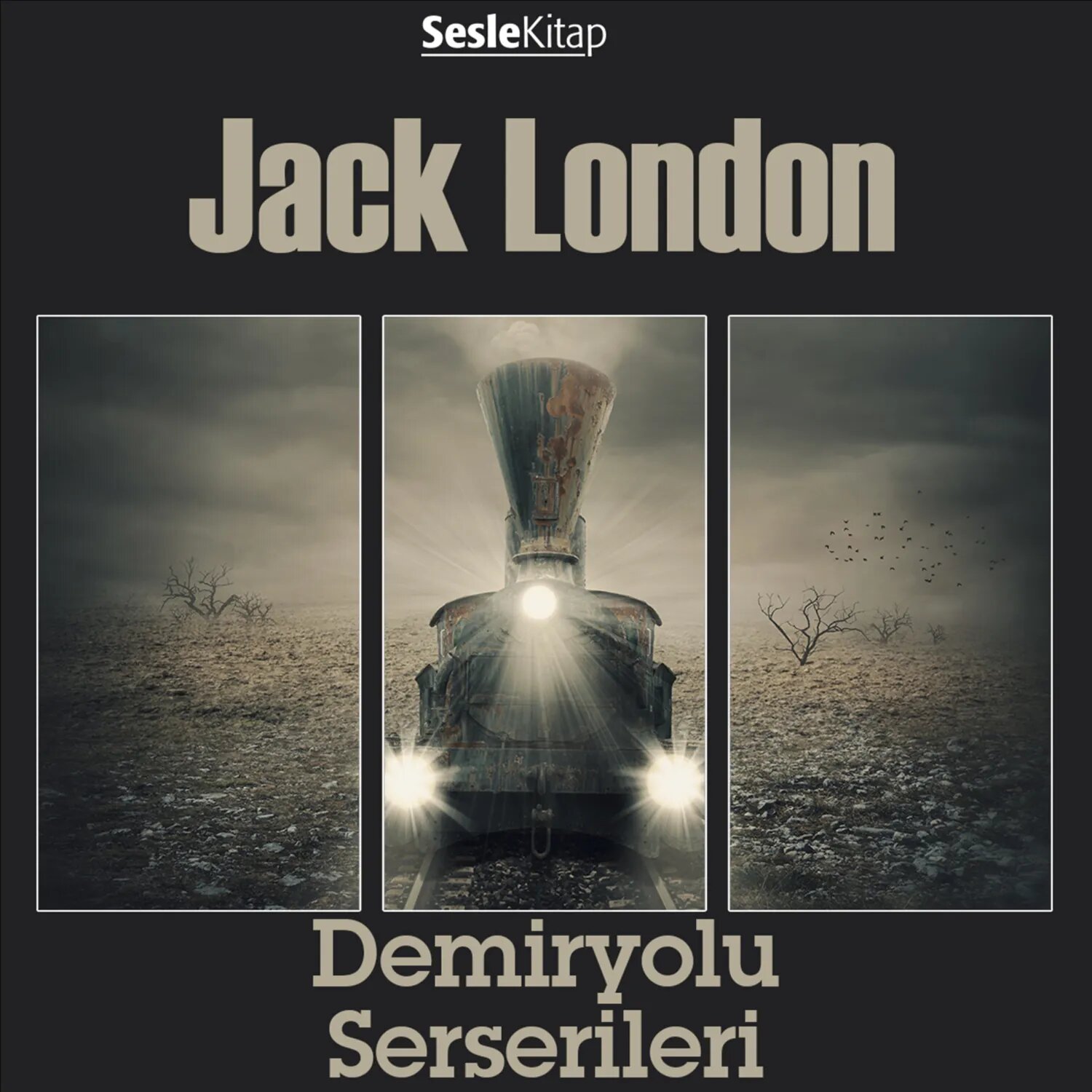 Demiryolu Serserileri [Аудиокнига]