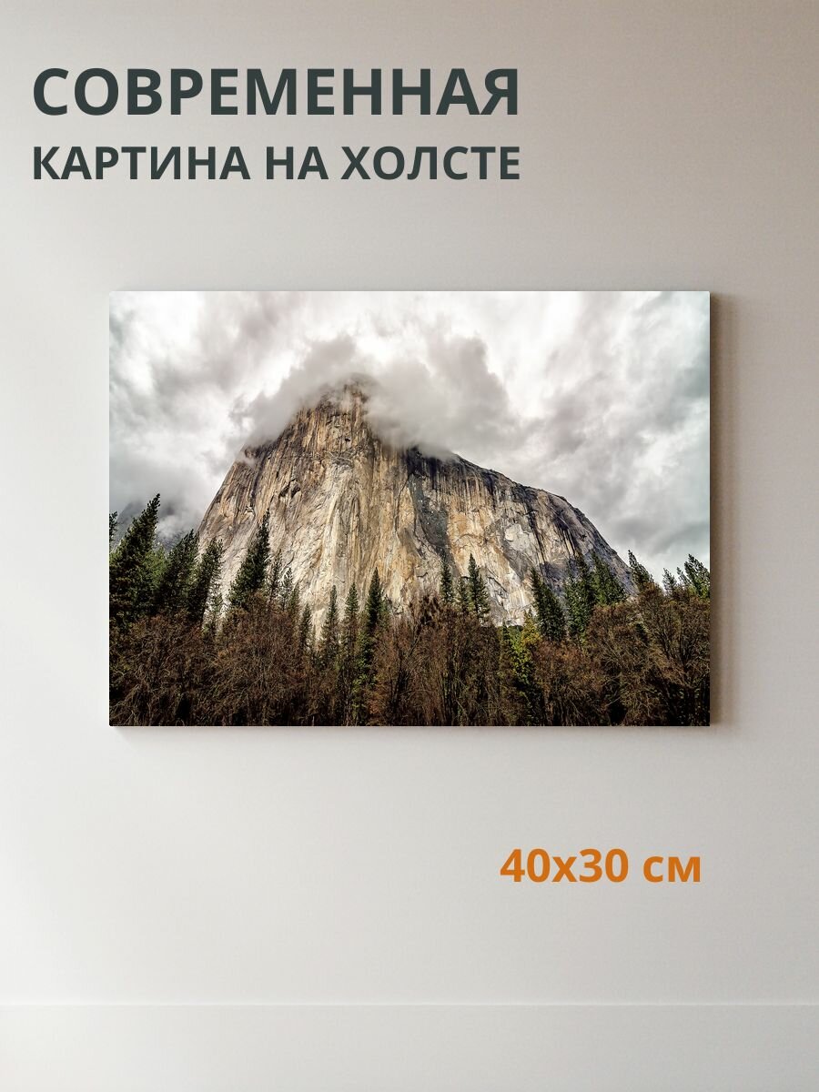 Картина на холсте Пейзаж 40x30 см