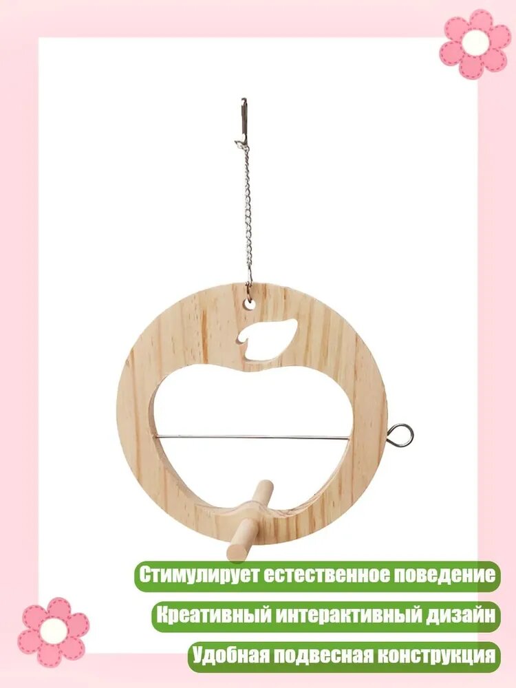 Кормушка для птиц на улицу с жердочкой, подвесная шпажка для лакомств и овощей, качели для попугаев и корелл