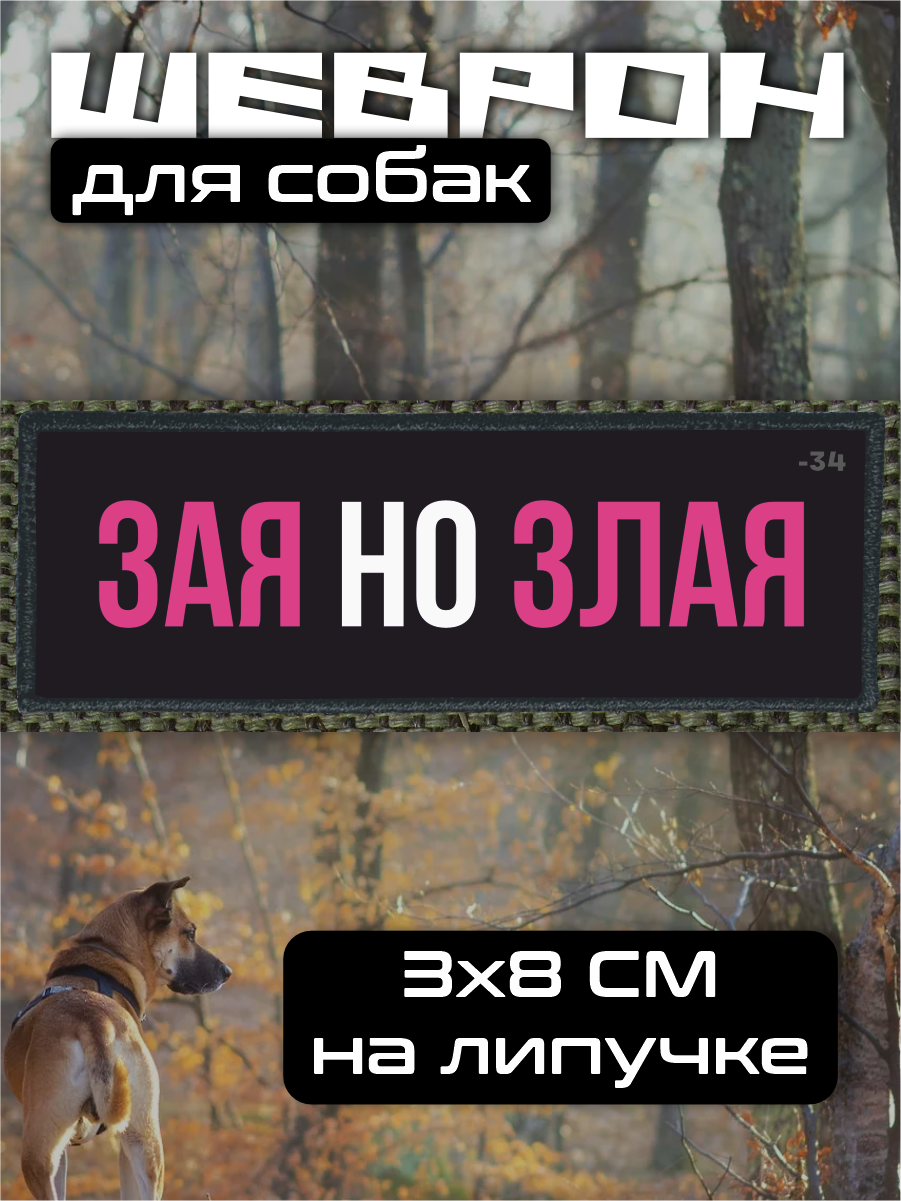 Шеврон на липучке для собак Зая но злая