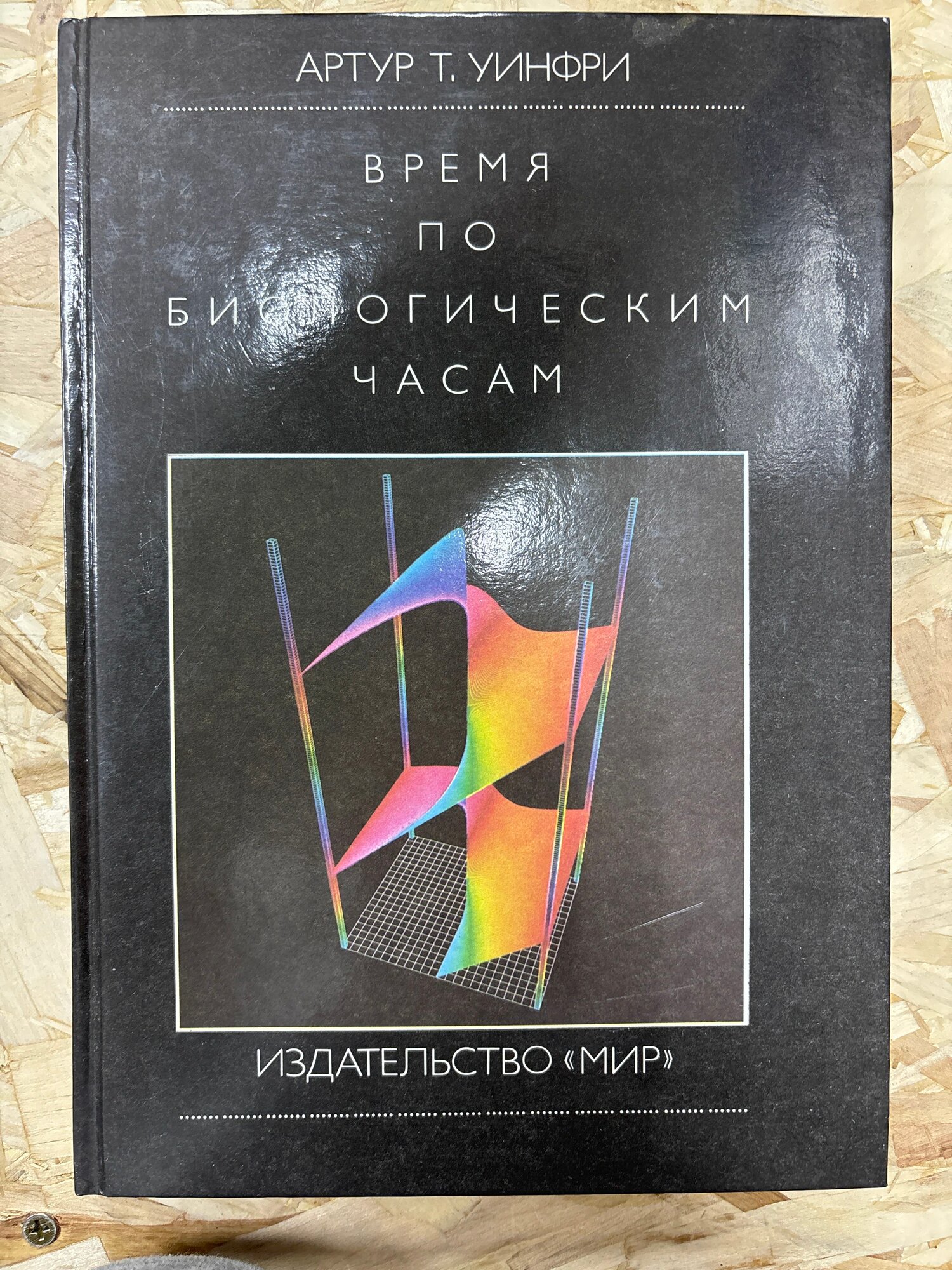Время по биологическим часам