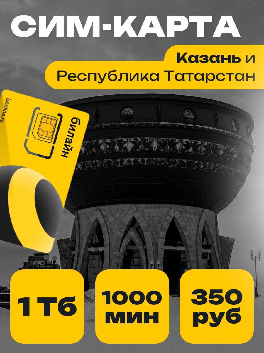 Сим-карта Билайн тариф Эксклюзивный Плюс Республика Татарстан 1000 Гб + 1000 минут за 350 руб.
