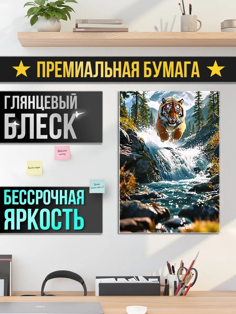 Плакат постер Тигр в водопаде — фото 1