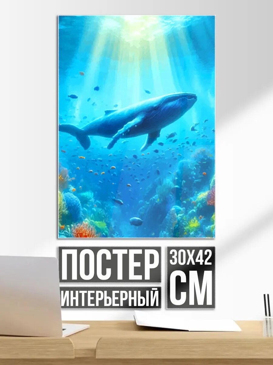 Постер на стену Кит в коралловом рифе