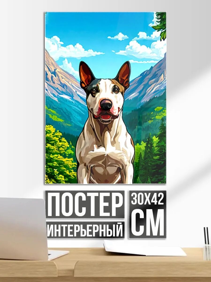 Постер на стену Бультерьер летом в горах