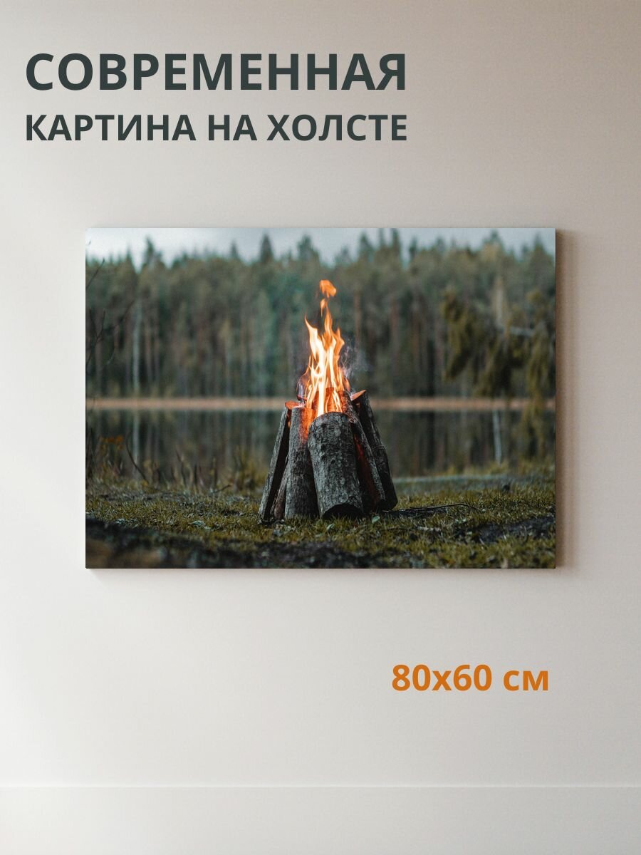 Картина на холсте Костер / огонь 80x60 см