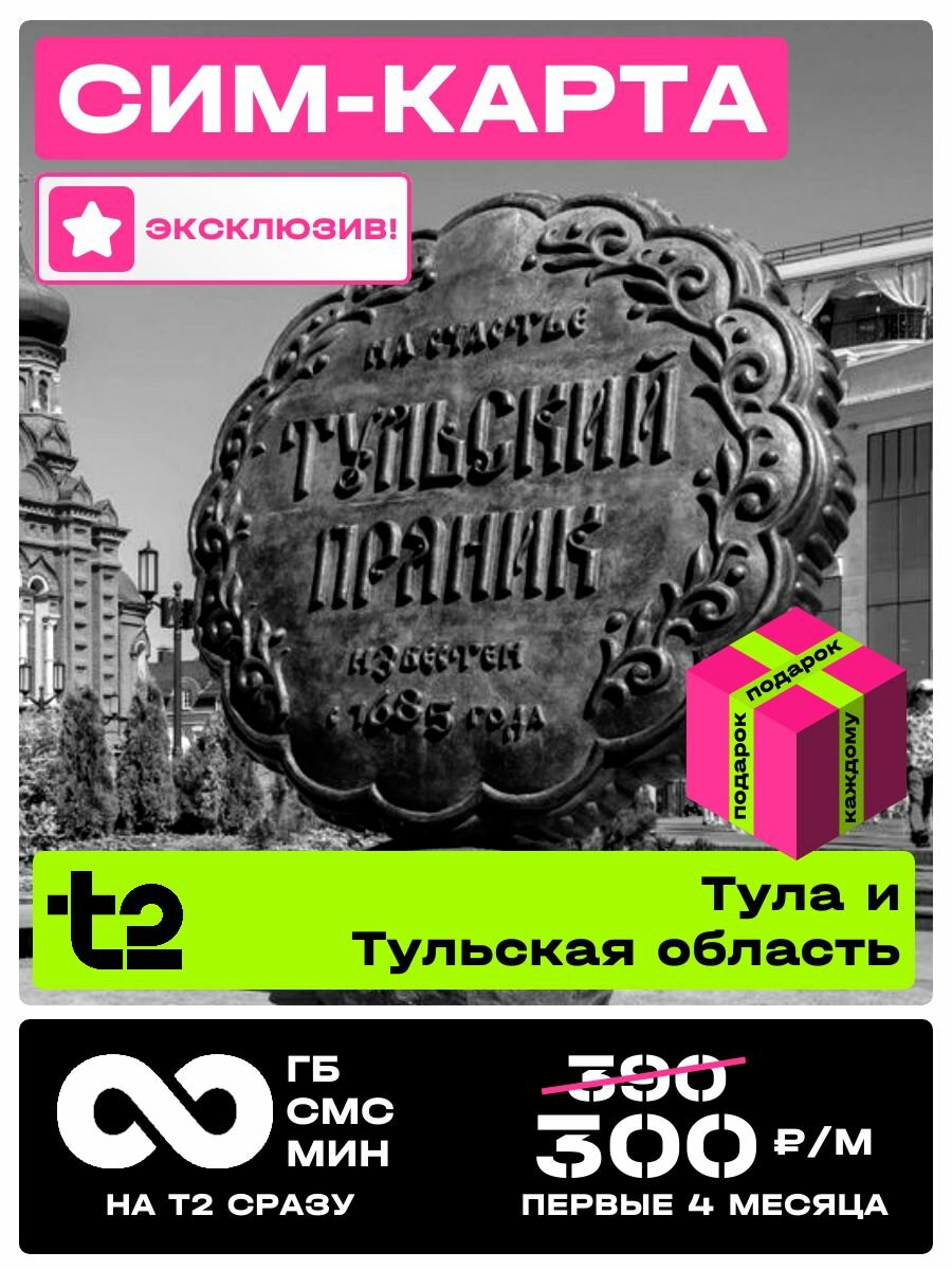 Сим карта теле 2 с безлимитным интернетом и минутами. t2 SIM-карта тариф хватит Тульская область. За 300 рублей в месяц.
