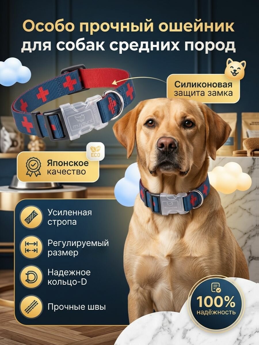 Ошейник для собак Japan Premium Pet из прочного нейлона с силиконовой защитой, цвет синий, размер M.