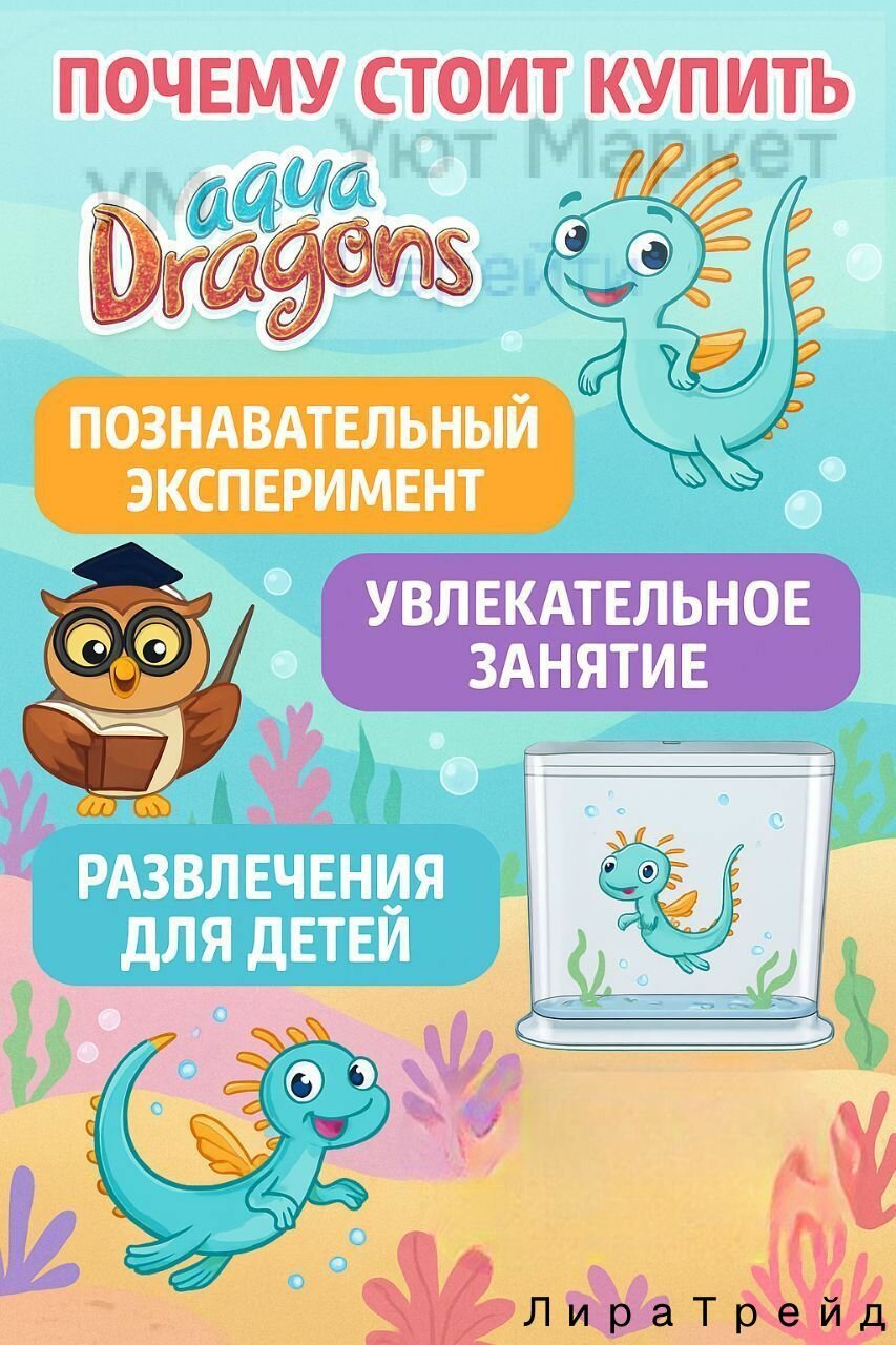 Набор Aqua Dragons мини-аквариум — фото 1