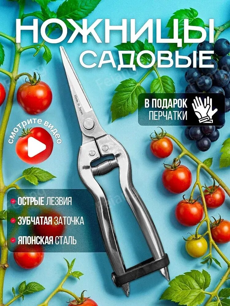 Секатор