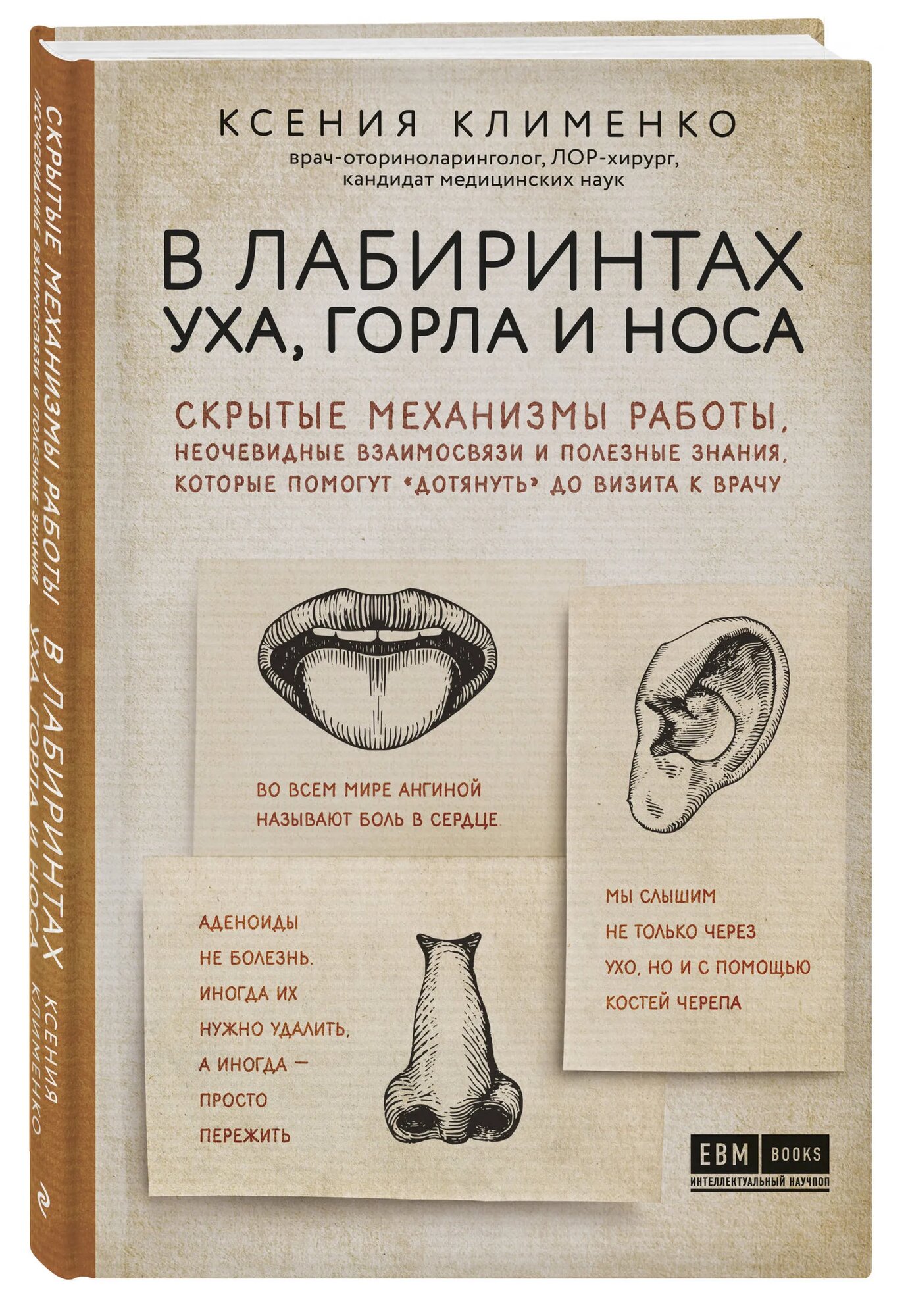 В лабиринтах уха, горла и носа. Скрытые механи.