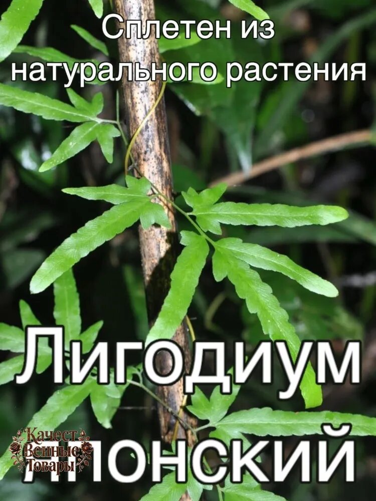 Фигурка садовая — фото 1