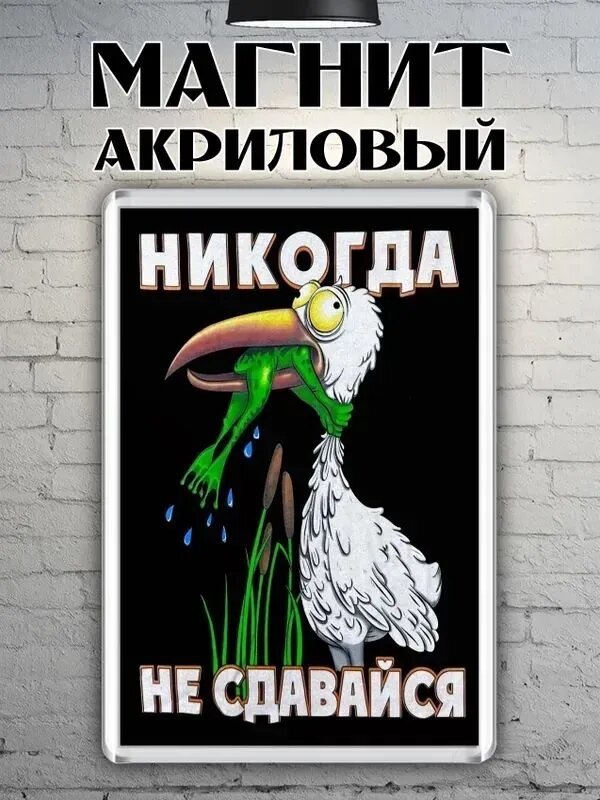 Магнит акриловый "Никогда не сдавайся"