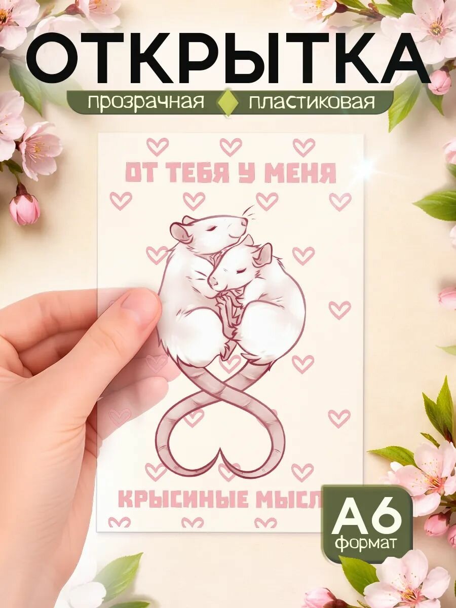 Поздравительная открытка для подруги крысы Крыса