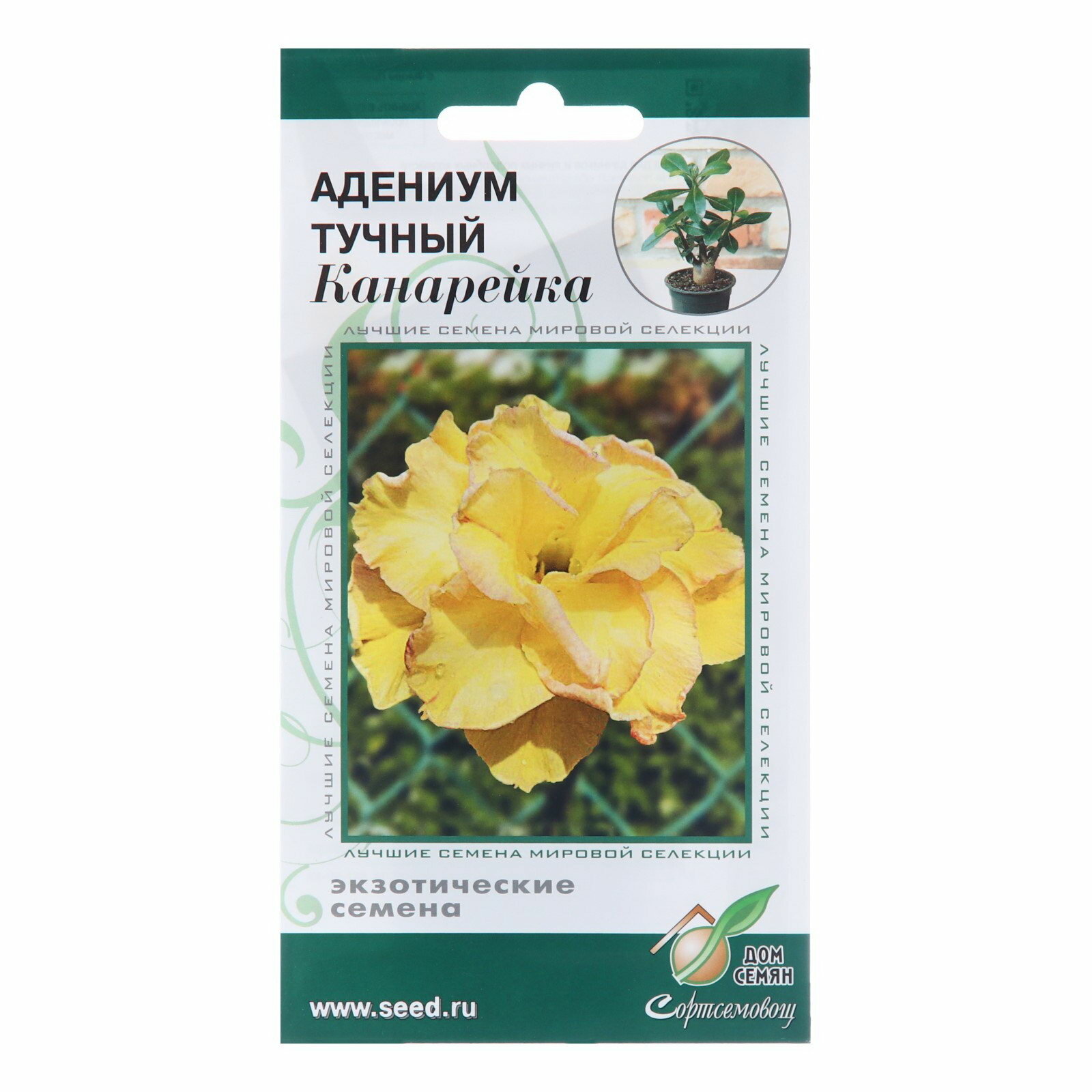 Семена цветов Адениум тучный "Канарейка", 3 шт, по форме куста: кустовая