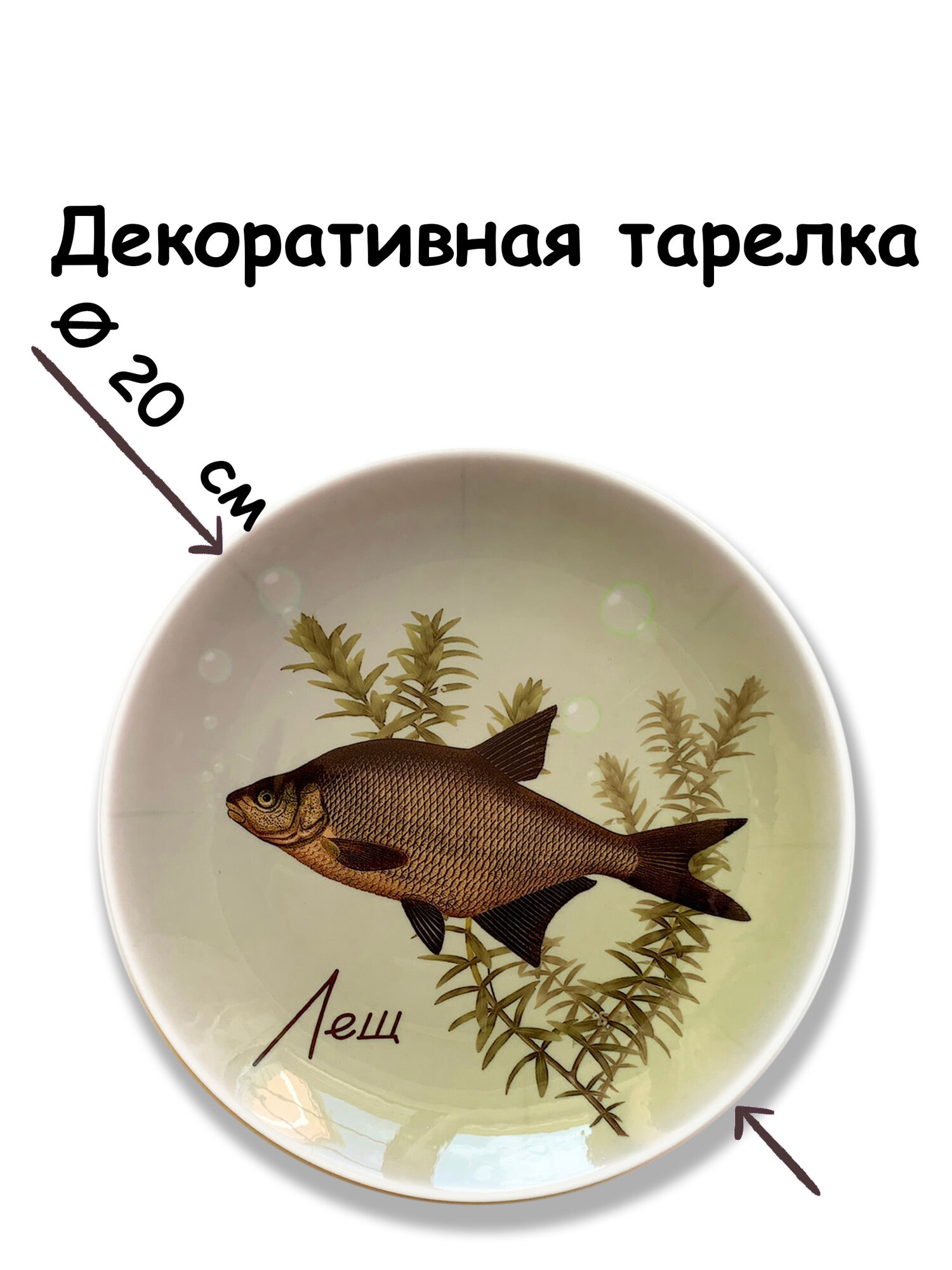 Декоративная настенная тарелка с изображением леща
