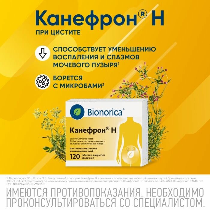 Канефрон Н, таблетки покрытые пленочной оболочкой, 120 шт. — фото 1