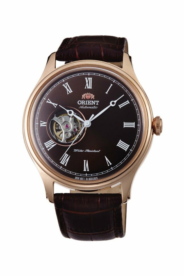  ORIENT