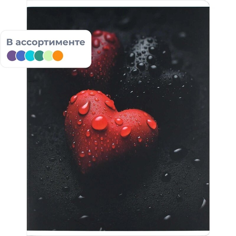 Тетрадь 48 л, клетка, красный акцент А5+, в ассорт/74233