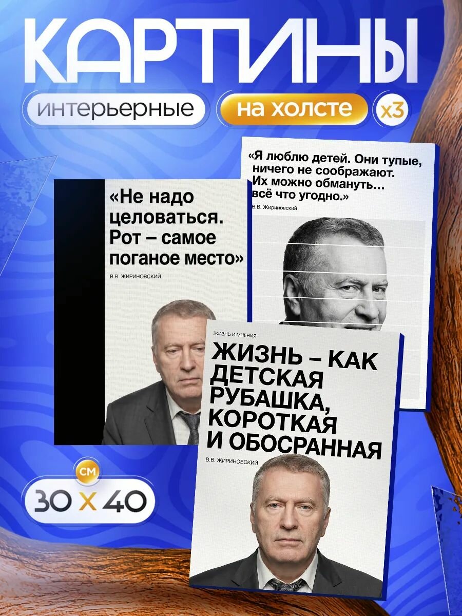 Набор из трех картин на стену 30х40 мем Жириновский Владимир