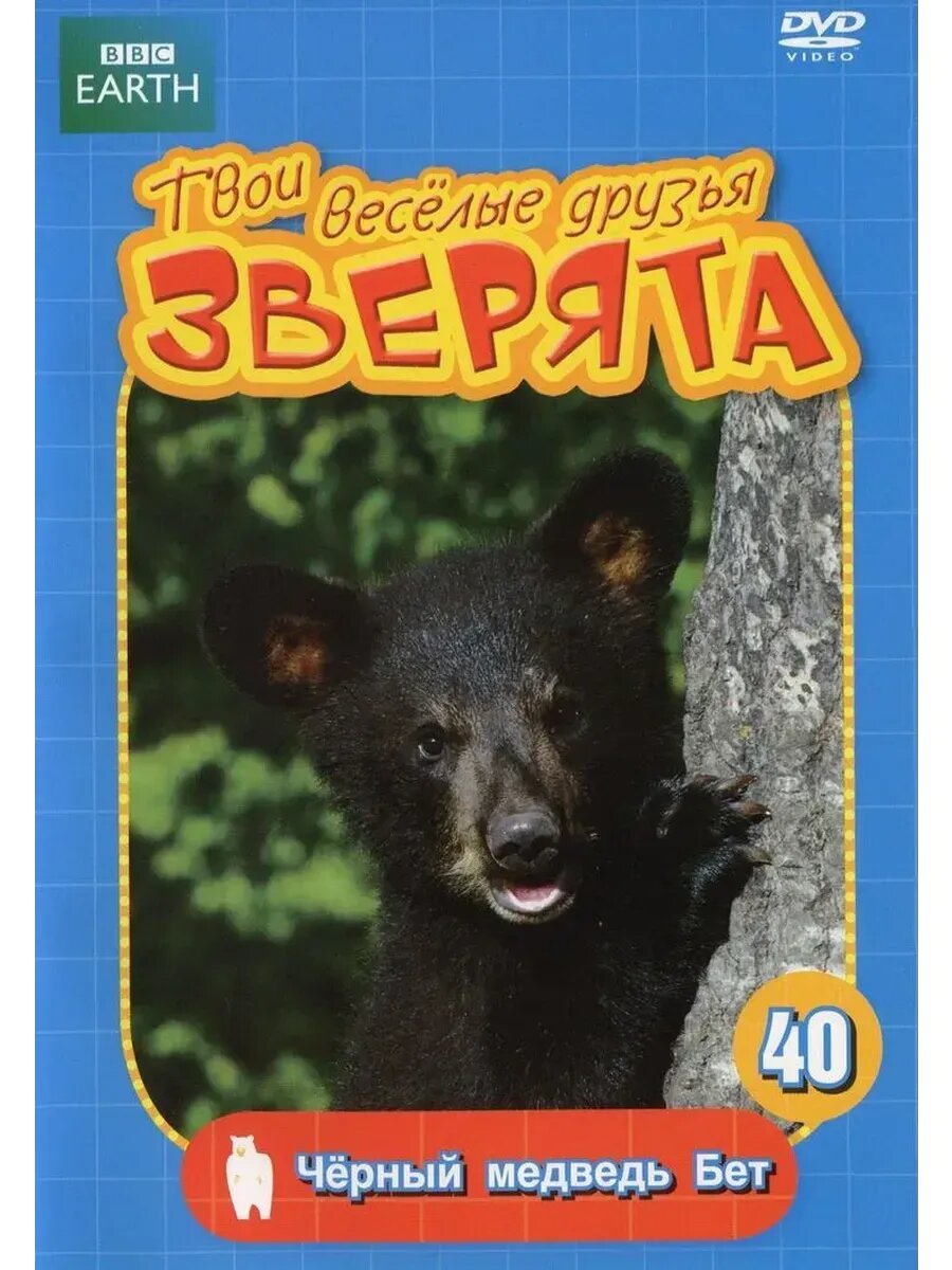 BBC: Твои веселые друзья зверята: Черный (флешка)