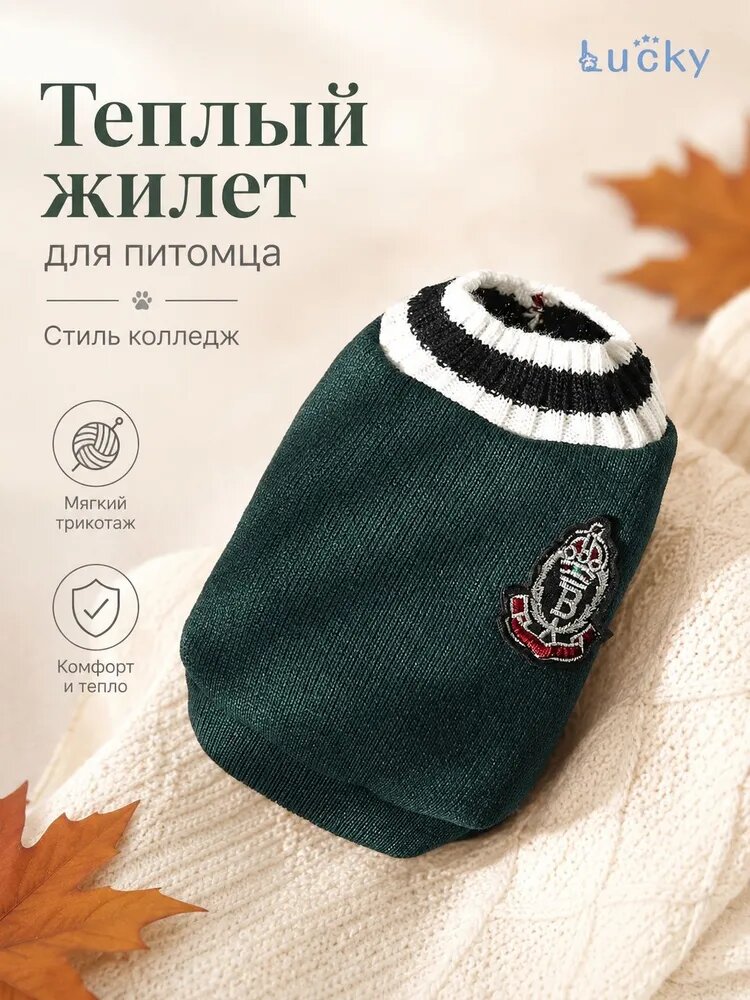 Костюм домашней кошки, Осенне-зимний Рождественский свитер для домашних животных, пуловер с котенком для маленьких собачек, Жилет для щенков Lucyk