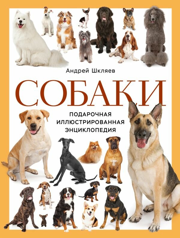 Книга ЭКСМО Собаки. Подарочная иллюстрированная энциклопедия, новое оформление, Шкляев А. Н, твердый переплет, 2024 год