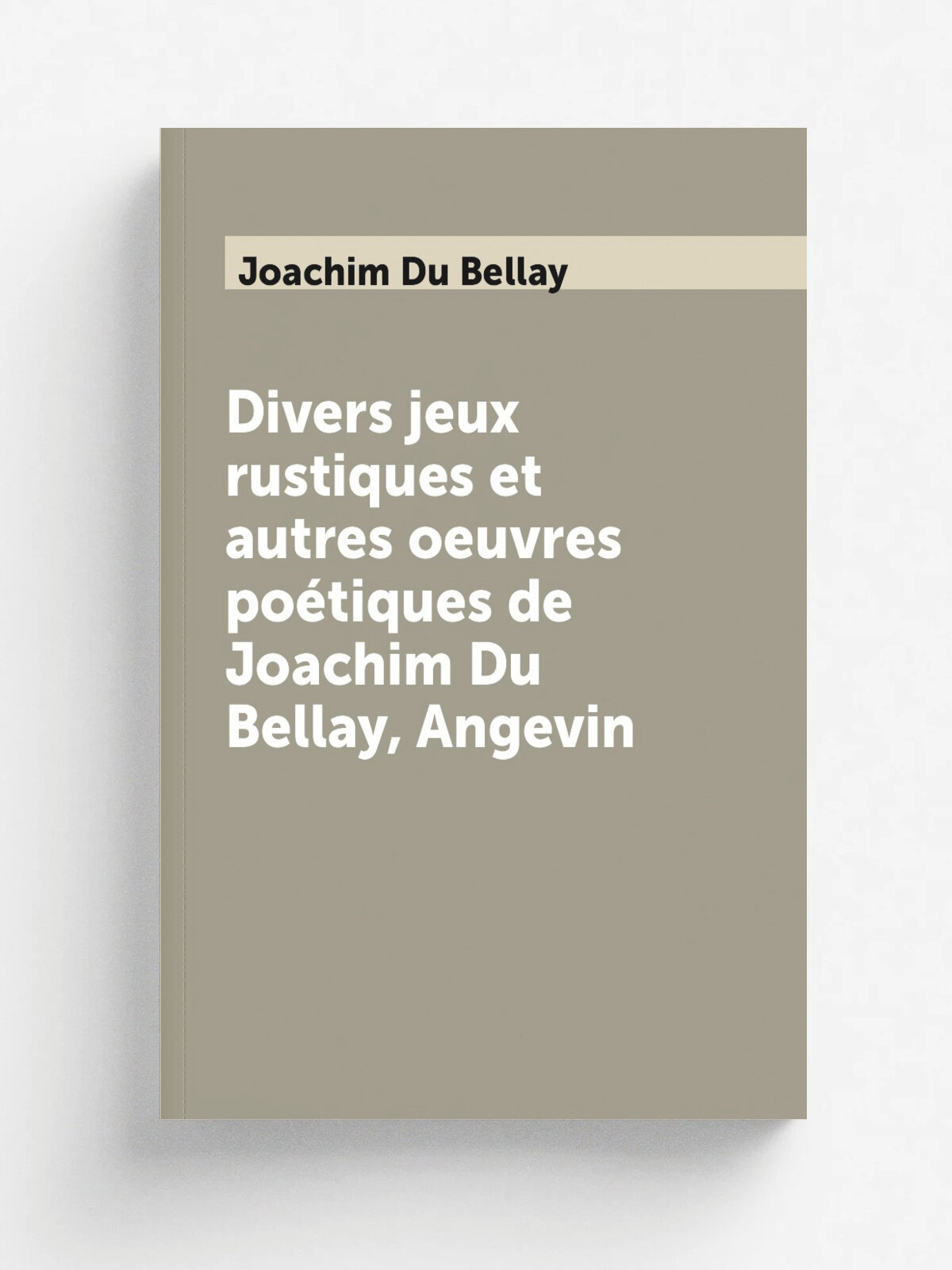 Divers jeux rustiques et autres oeuvres po.tiques de Joachim Du Bellay, Angevin | Joachim Du Bellay | 1875 | I. Liseux | Репринт