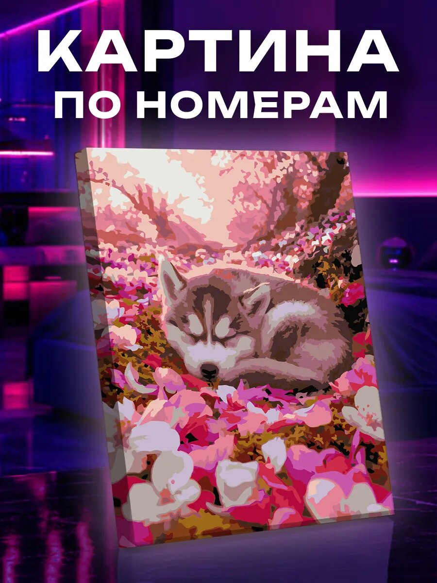 Картина по номерам щенок хаски в лепестках цветущей яблони