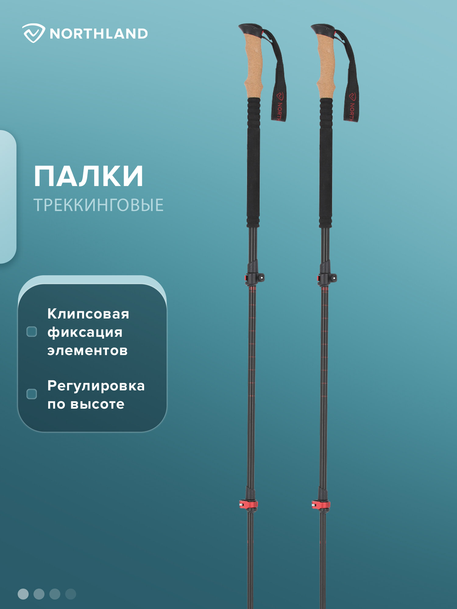 Палки треккинговые Northland