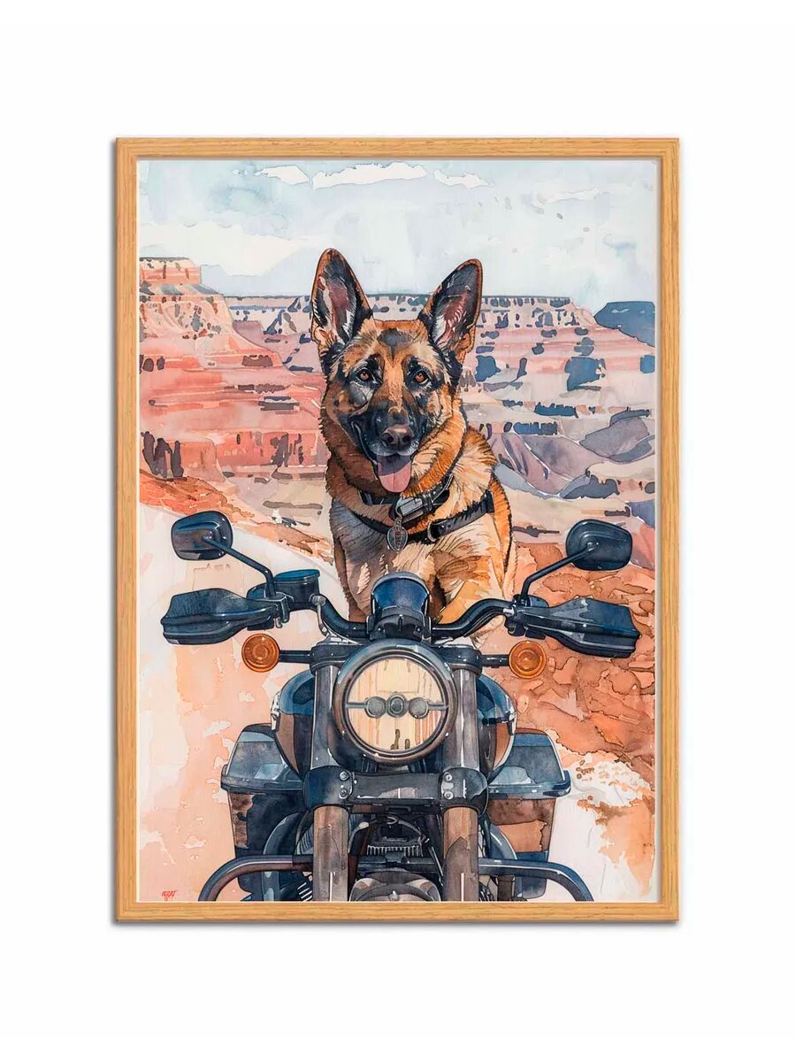 Немецкая овчарка Байкер 2, Плакат 30x42см